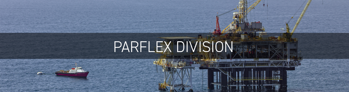 Parflex Division | FCG Digital Marketing Resources